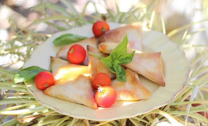 Samoussas Tomates mozzarella